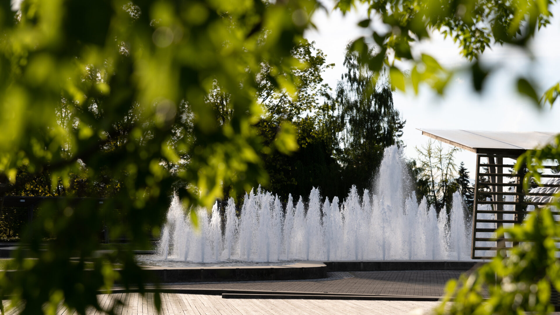 Product Photography | Video | Vancouver | Pandosy Creative Agency